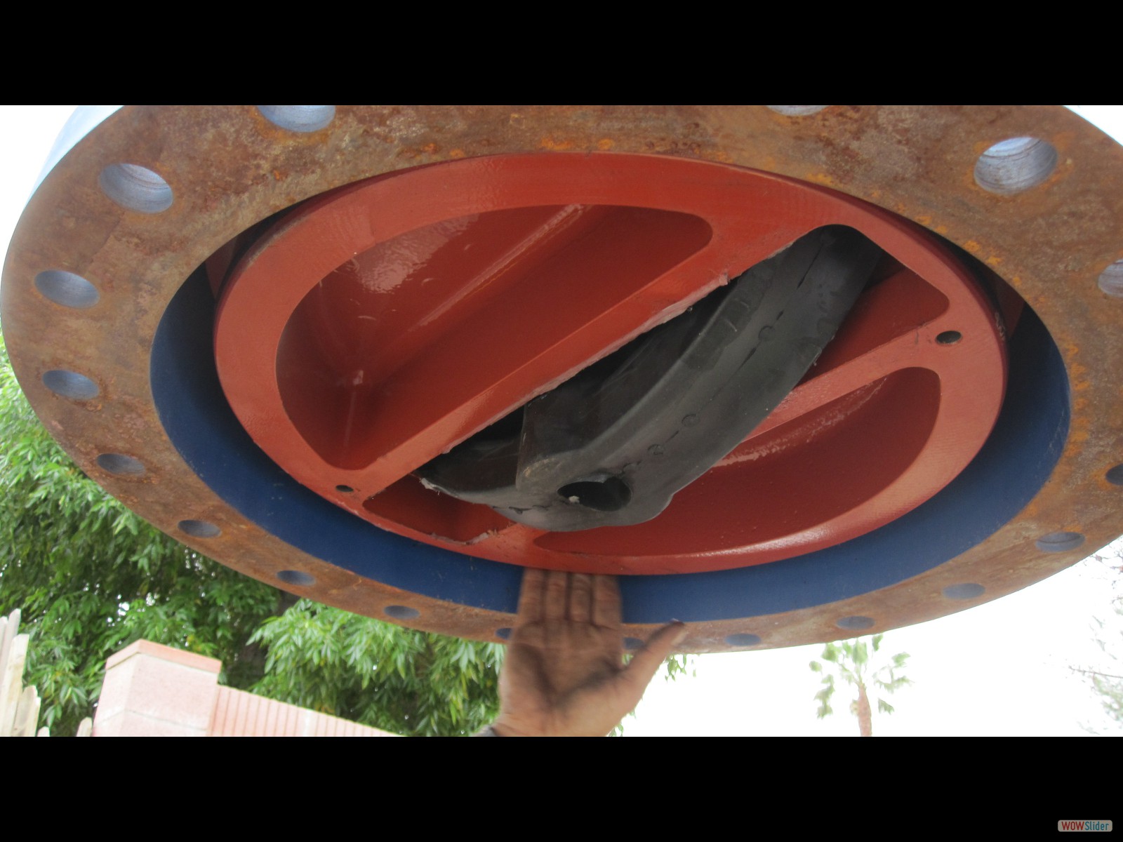 TEAM Insert Valves Occlude Installations