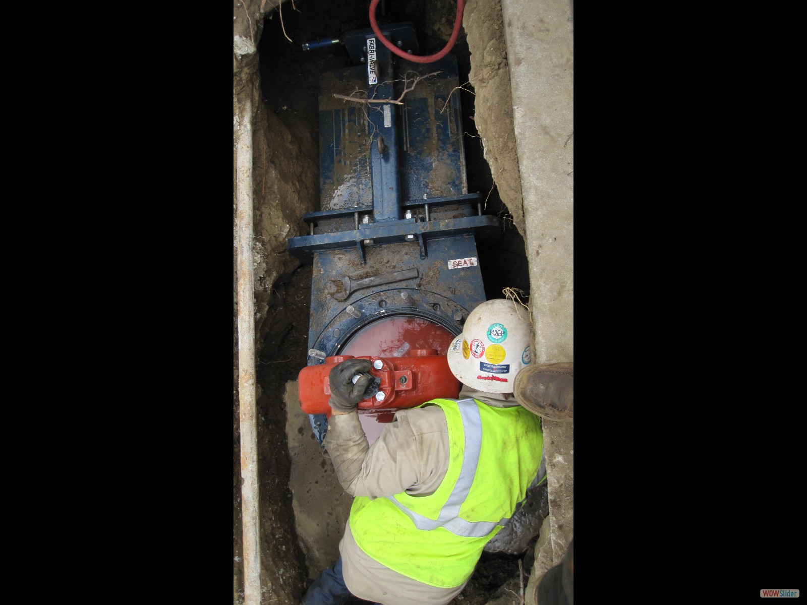 TEAM Insert Valves Occlude Installations